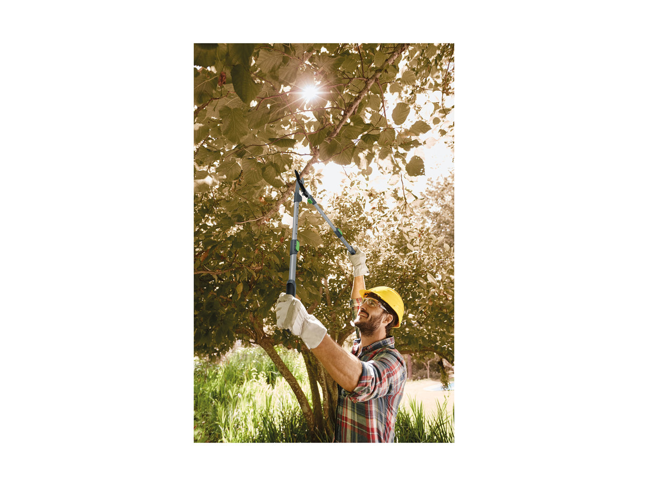 Florabest Extendable Loppers1 - Lidl - Great Britain - Specials archive