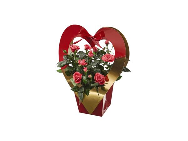 Rose Heart Gift Box - Lidl - Northern Ireland - Specials archive
