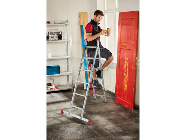 Multipurpose Ladder - Lidl - Ireland - Specials archive