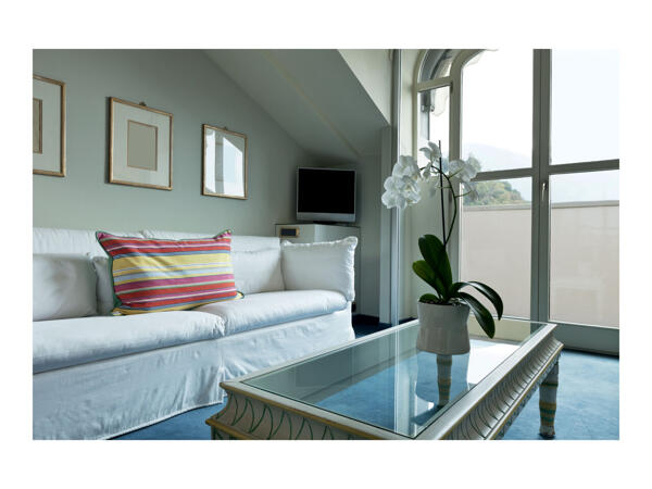 Livarno Home Window Privacy Film - Lidl - Great Britain - Specials archive