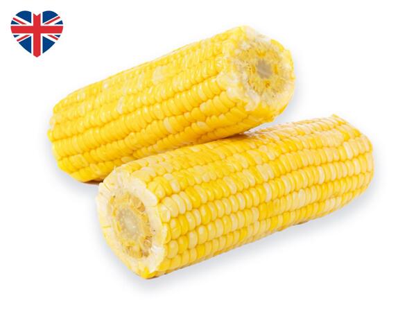 Fresh British Corn Twin Pack - Lidl - Great Britain - Specials archive
