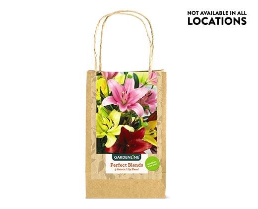 Gardenline Sun or Shade Lovers Bulbs Assorted Varieties - Aldi — USA ...