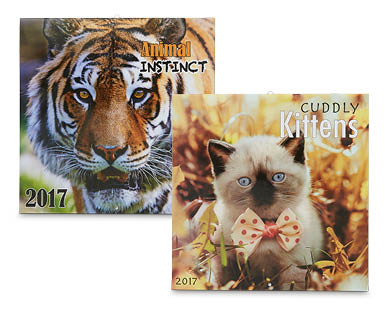 2017 Wall Calendars - Aldi - Australia - Specials archive