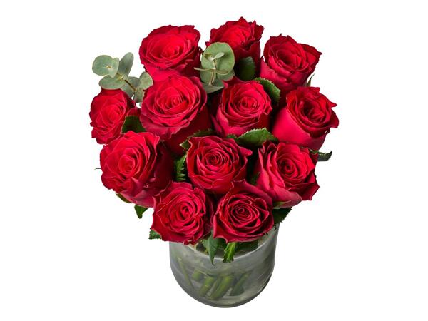 Deluxe Red Roses - Lidl - Great Britain - Specials archive