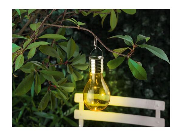 Livarno Home Decorative Solar Light - Lidl - Great Britain - Specials ...