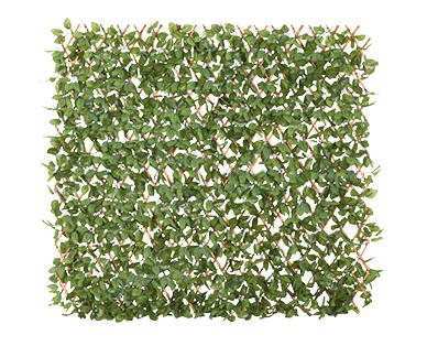 Ivy Wall Trellis - Aldi - Australia - Specials archive