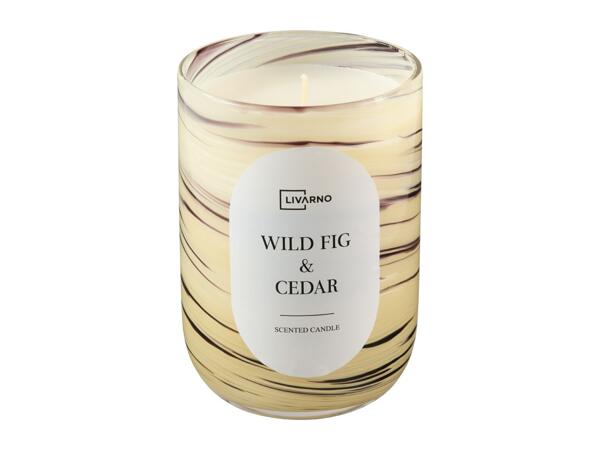 Livarno Home Large Scented Candle - Wild Fig & Cedar - Lidl - Great ...