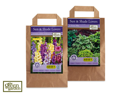 Sun & Shade Lovers Bulb Assortment - Aldi - Ireland - Specials archive