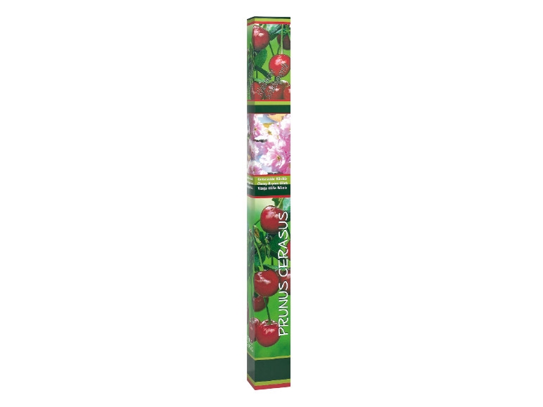 Fruit Trees Lidl Great Britain Specials Archive