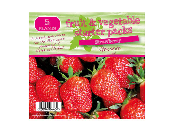 Strawberry Starter Pack - Lidl - Ireland - Specials archive