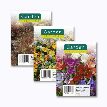 Sachet de semences - Aldi - France - Archive des offres promotionnelles