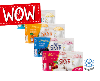 GRANDESSA Frozen Skyr - Aldi - Italia - Archivio offerte promozionali
