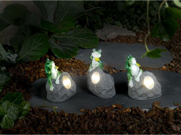 Livarno Home LED Solar Lights - Lidl - Great Britain - Specials archive