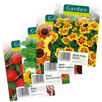 Sachet de semences - Aldi - France - Archive des offres promotionnelles