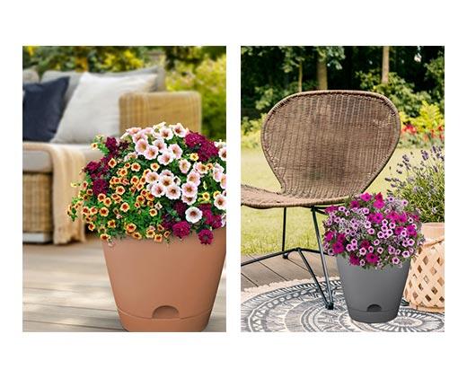 Belavi 12" Self-Watering Planter - Aldi - US - Specials archive