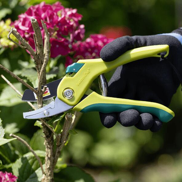 GARDENLINE(R) Sécateur de jardin - Aldi - France - Archive des offres ...