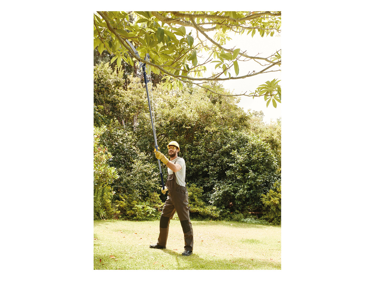 Florabest Extendable Tree Pruner with Saw1 - Lidl - Great Britain ...