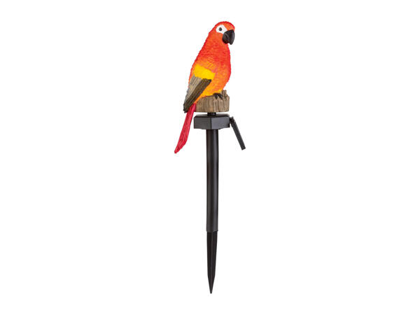 Livarno Home Solar Bird Lights - Lidl - Great Britain - Specials archive