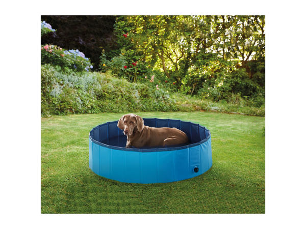Zoofari Dog Pool1 - Lidl - Great Britain - Specials archive