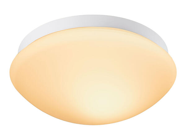 Livarno Lux LED Ceiling Light with Motion Sensor - Lidl - Great Britain ...