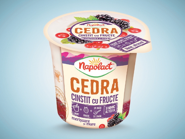 Iaurt cu fructe - Lidl - România - Promoții arhiva